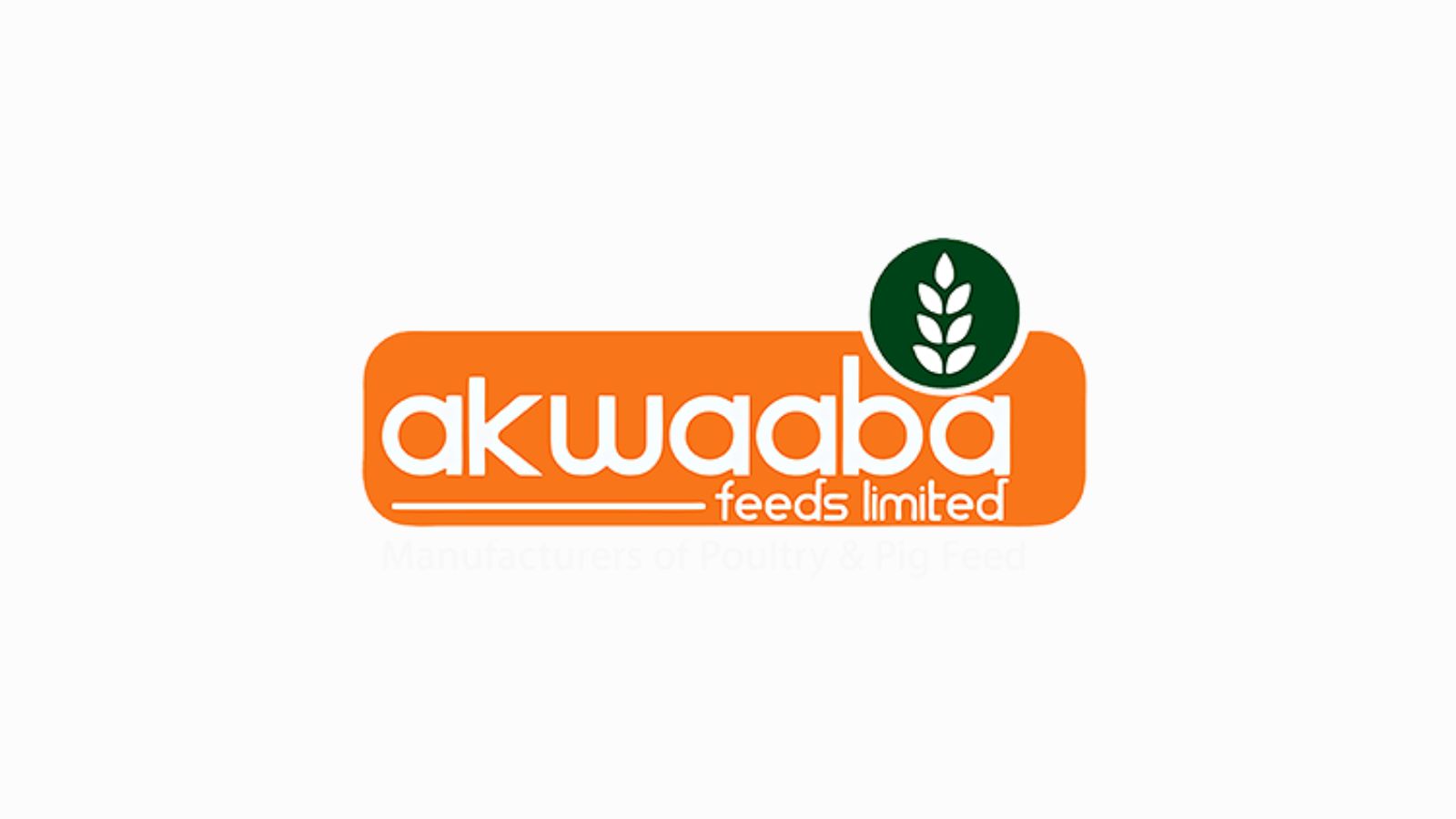 Open Slot At Akwaaba Feeds - GhnewsbanQ