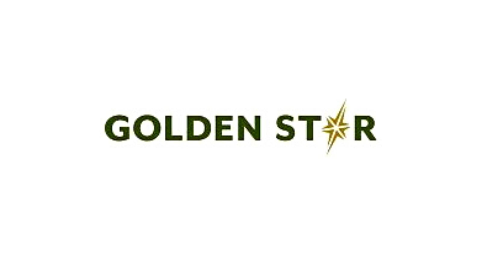 Careers at Golden Star (Wassa) Limited: Manager-Supply Chain - GhnewsbanQ