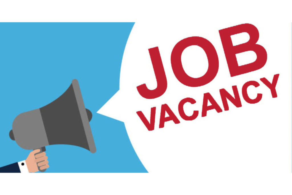 Exciting Job Vacancy at MoveHub for SHS Graduates. - GhnewsbanQ