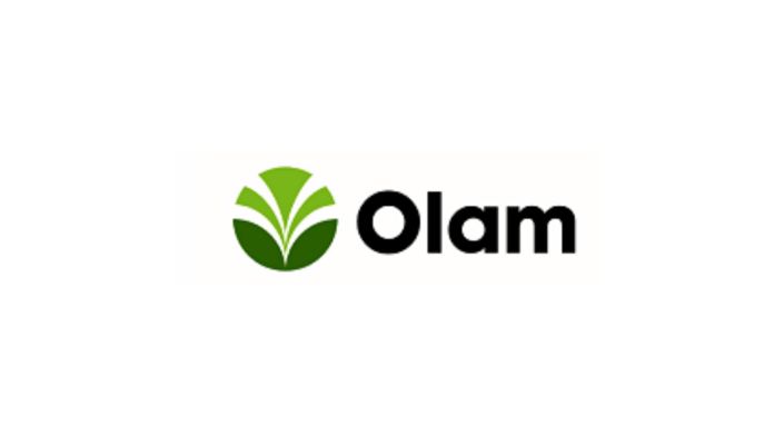 Job posting from Olam Group - GhnewsbanQ
