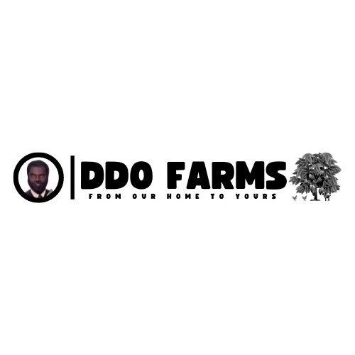 New Job Vacancy at DDO Farms - GhnewsbanQ