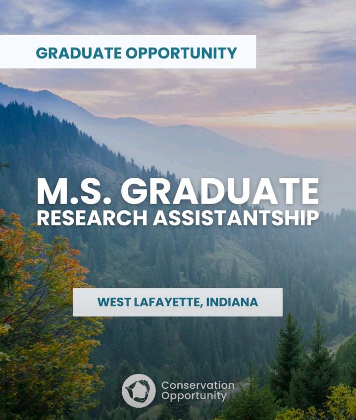 GRADUATE OPPORTUNITY - GhnewsbanQ